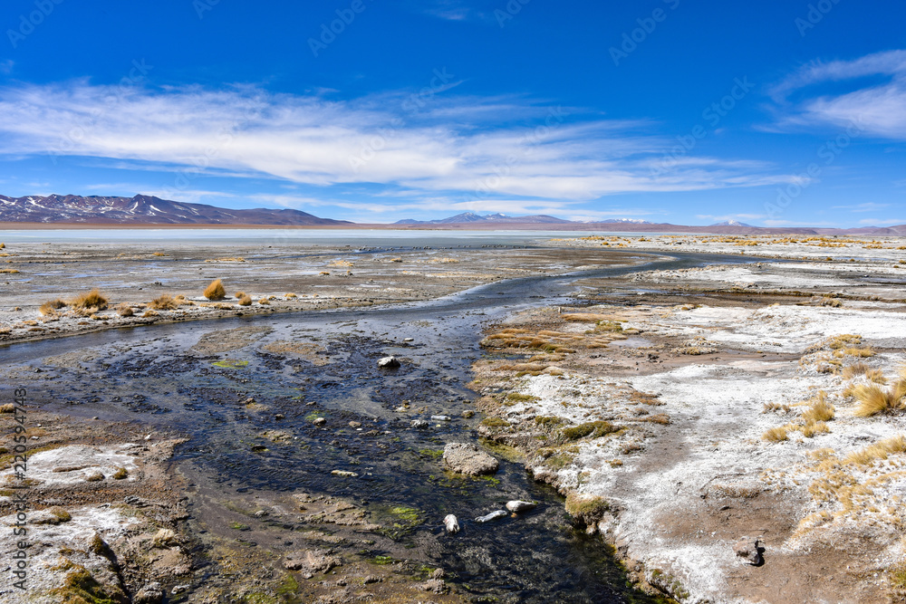 Laguna y Termas de Polques hot springs pool with the Salar de Chalviri ...