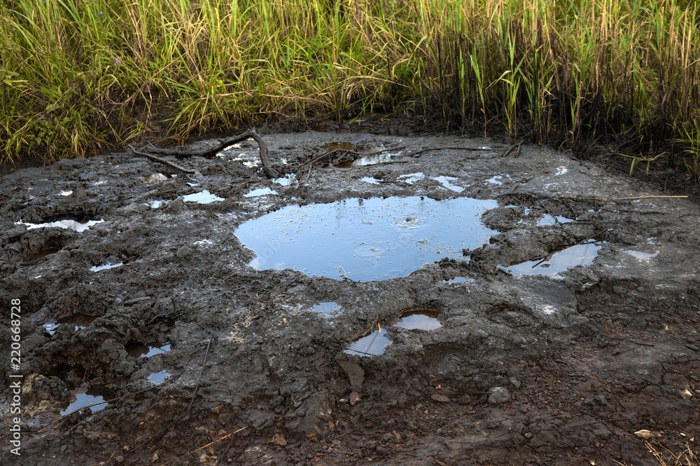 Spills of crude oil on the soil surface. Crater of the volcano.Mud ...