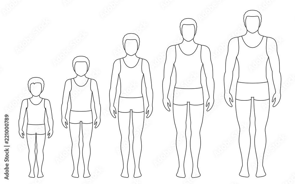 Man's body proportions changing with age. Boy's body growth stages ...