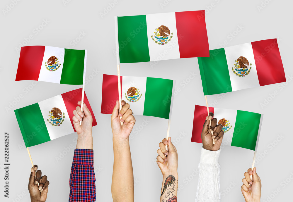 Hands waving the flags of Mexico Stock Photo | Adobe Stock