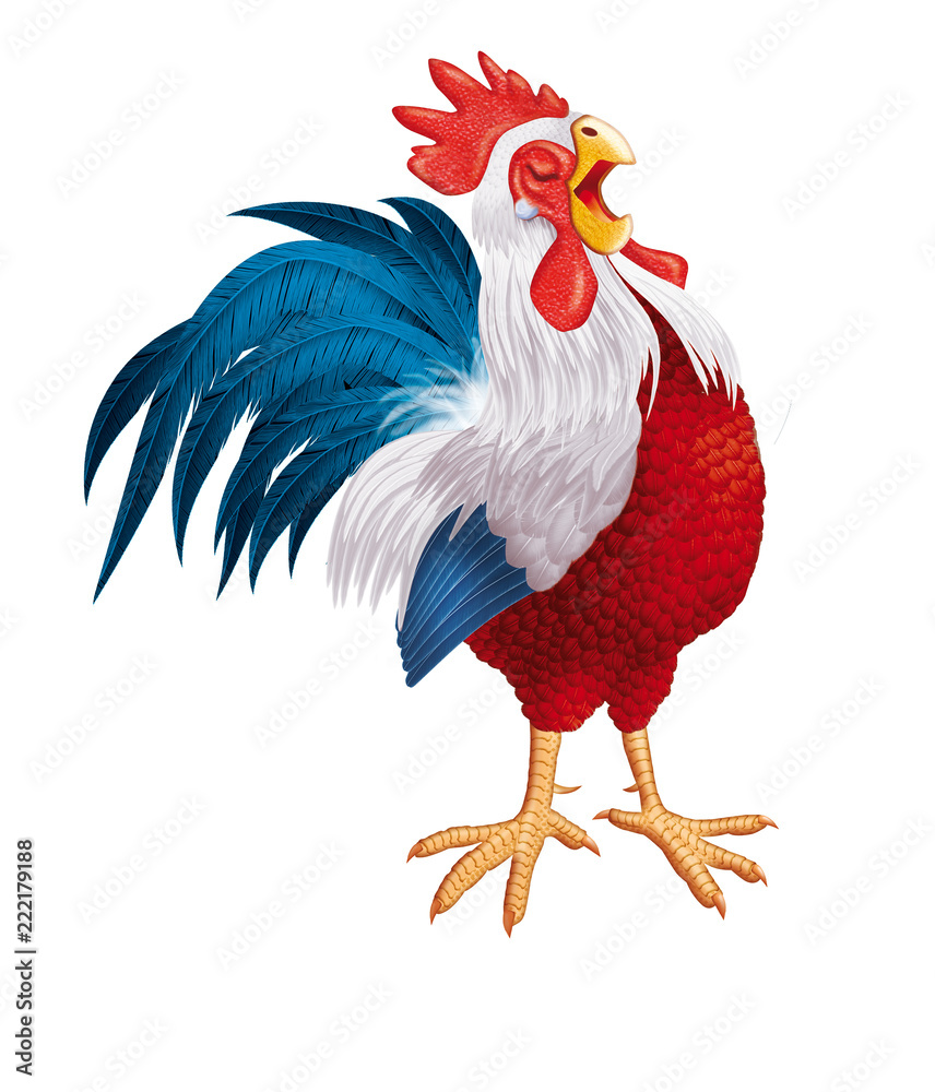 coq français, coq gaulois, mascotte, coq de france, coupe du monde ...