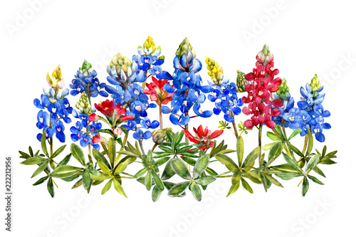 Bluebonnet Clip Art Free