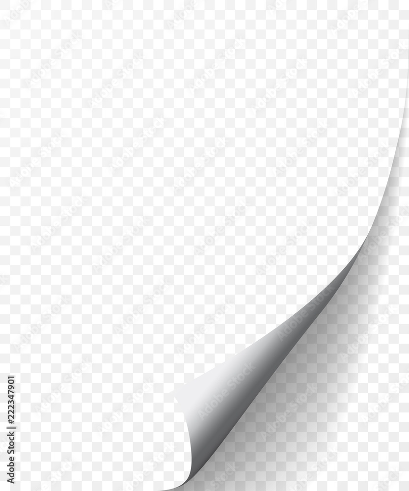 White page curl corner on blank sheet of paper. Turn paper sticker with ...