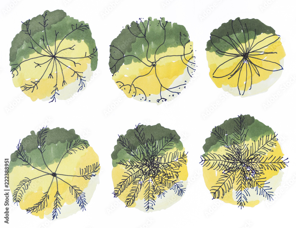 tree Illustration for Design plan Of architecture and landscape. tree top view watercolor ...