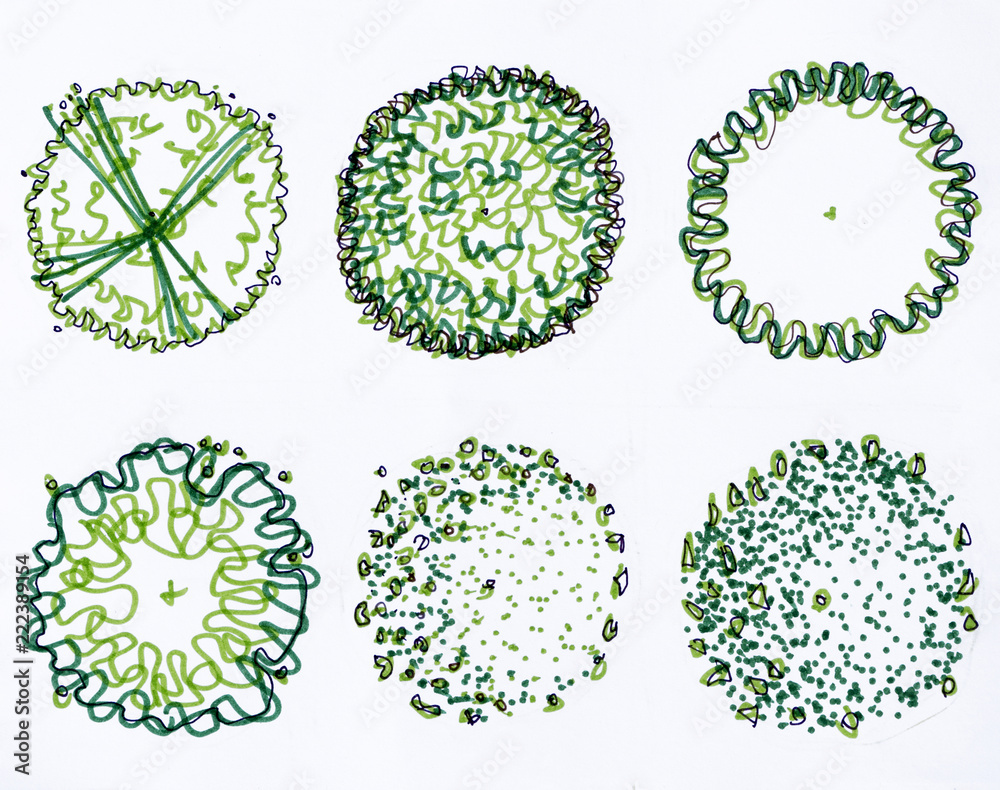 tree Illustration for Design plan Of architecture and landscape. tree top view watercolor ...