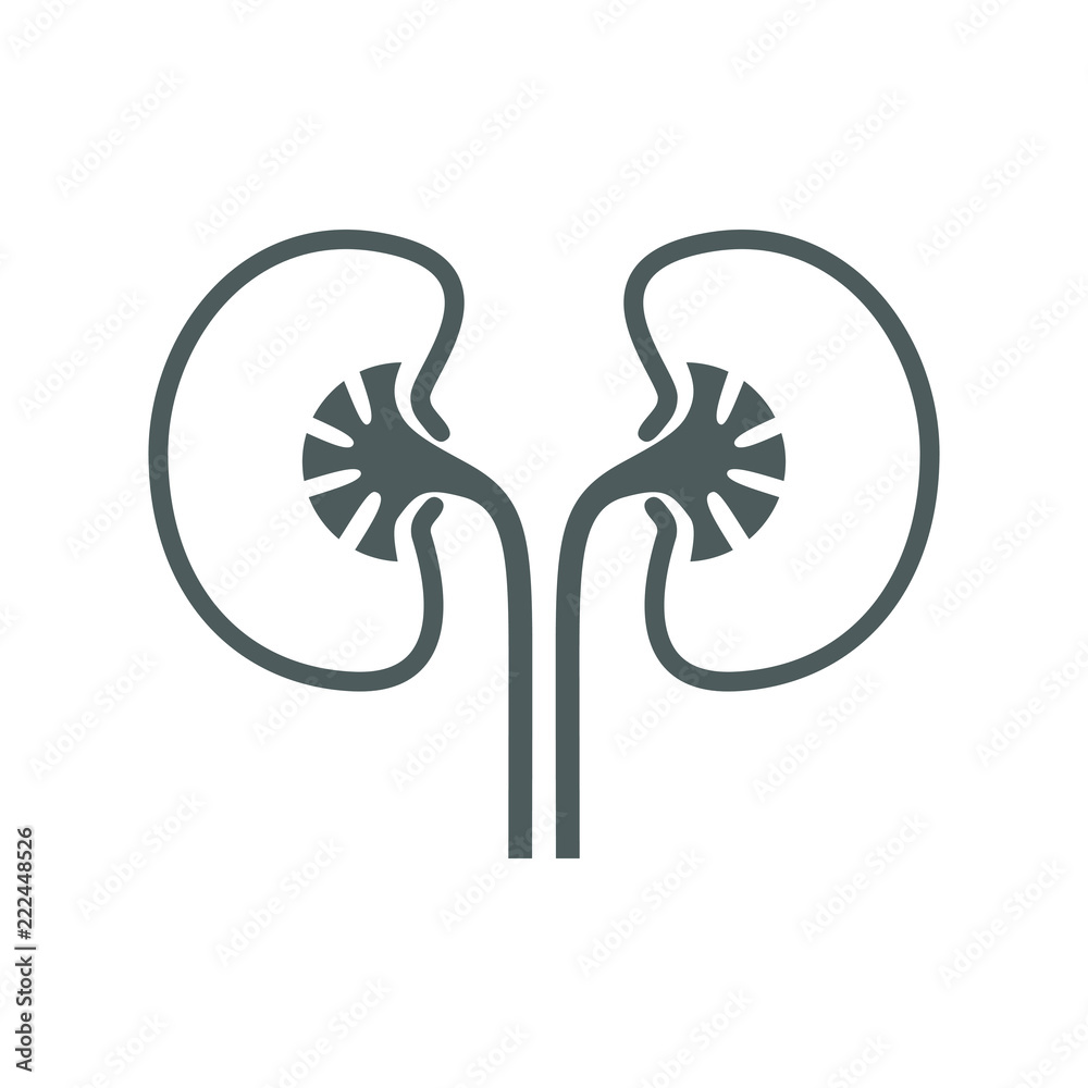 Kidneys human organ icon. Sign human kidneys. Kidneys symbol isolated ...