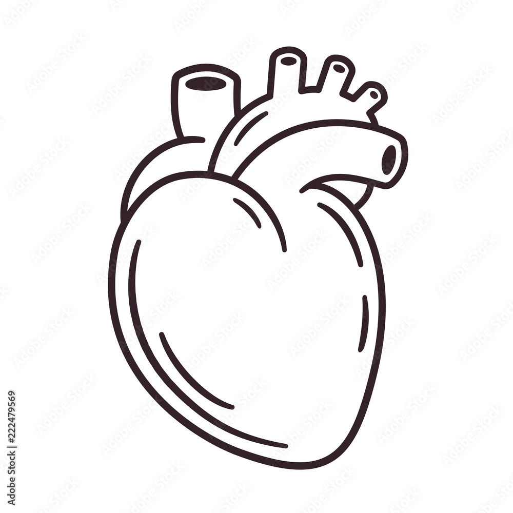 Realistic heart drawing Stock Vector | Adobe Stock