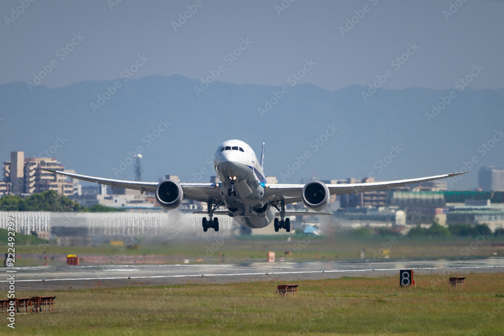 Boeing 787-8 takeoff Stock Photo | Adobe Stock