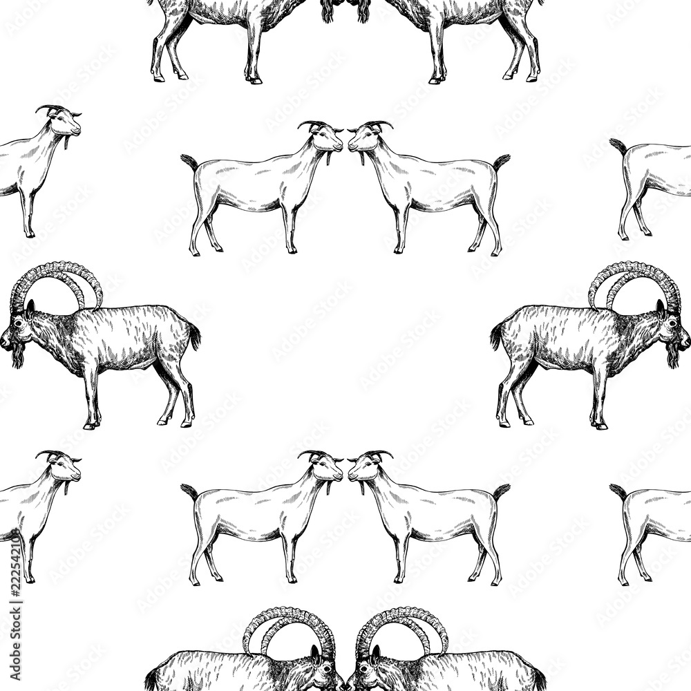 Seamless pattern of hand drawn sketch style goats isolated on white background. Vector ...