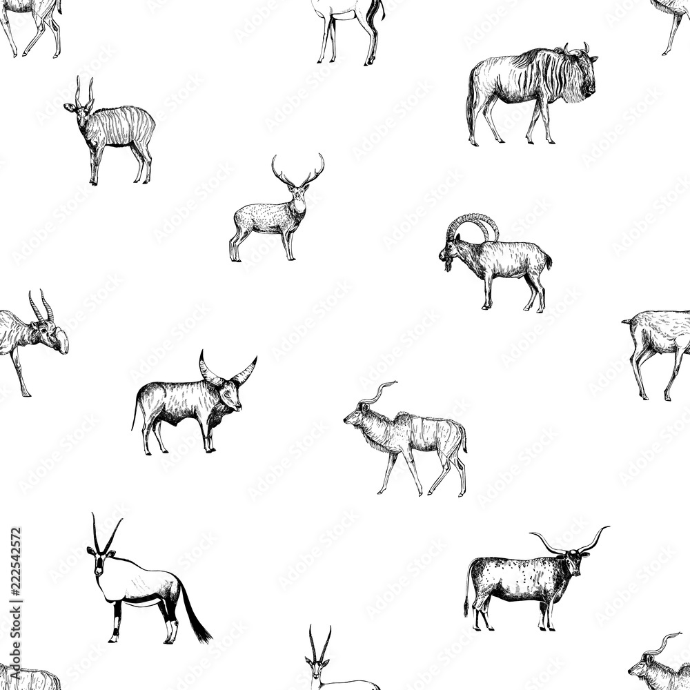 Seamless pattern of hand drawn sketch style ungulates isolated on white ...