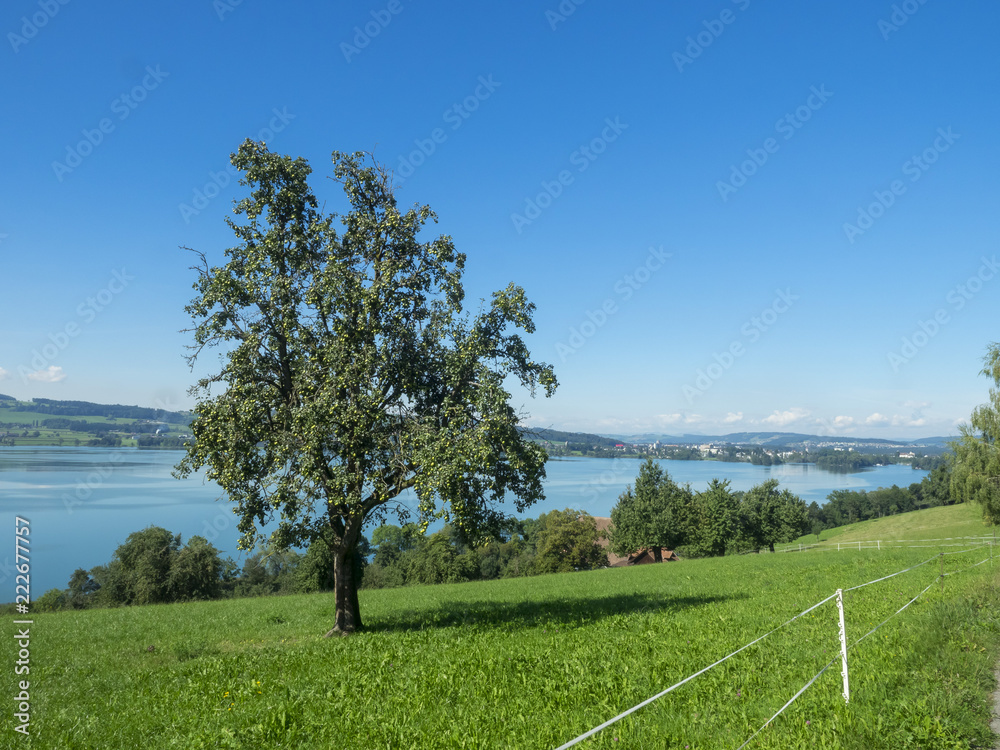 Randonnée autour du lac de Sempach (Sempachersee) dans le canton de ...