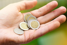 500 Pesos Tail Free Stock Photo - Public Domain Pictures