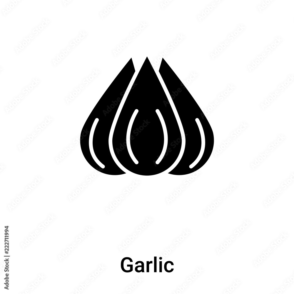 Garlic icon vector isolated on white background, logo concept of Garlic ...