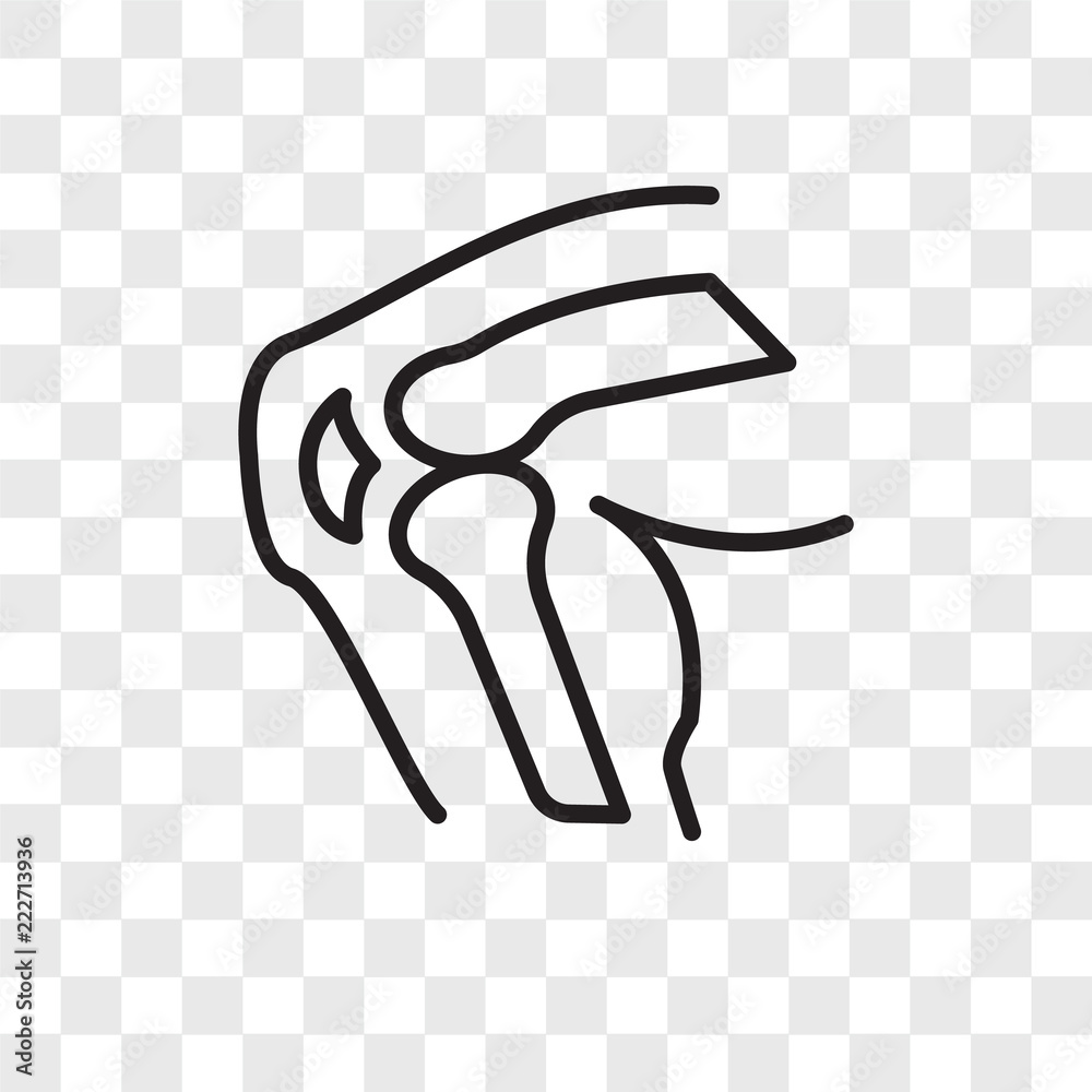 knee icons isolated on transparent background. Modern and editable knee ...