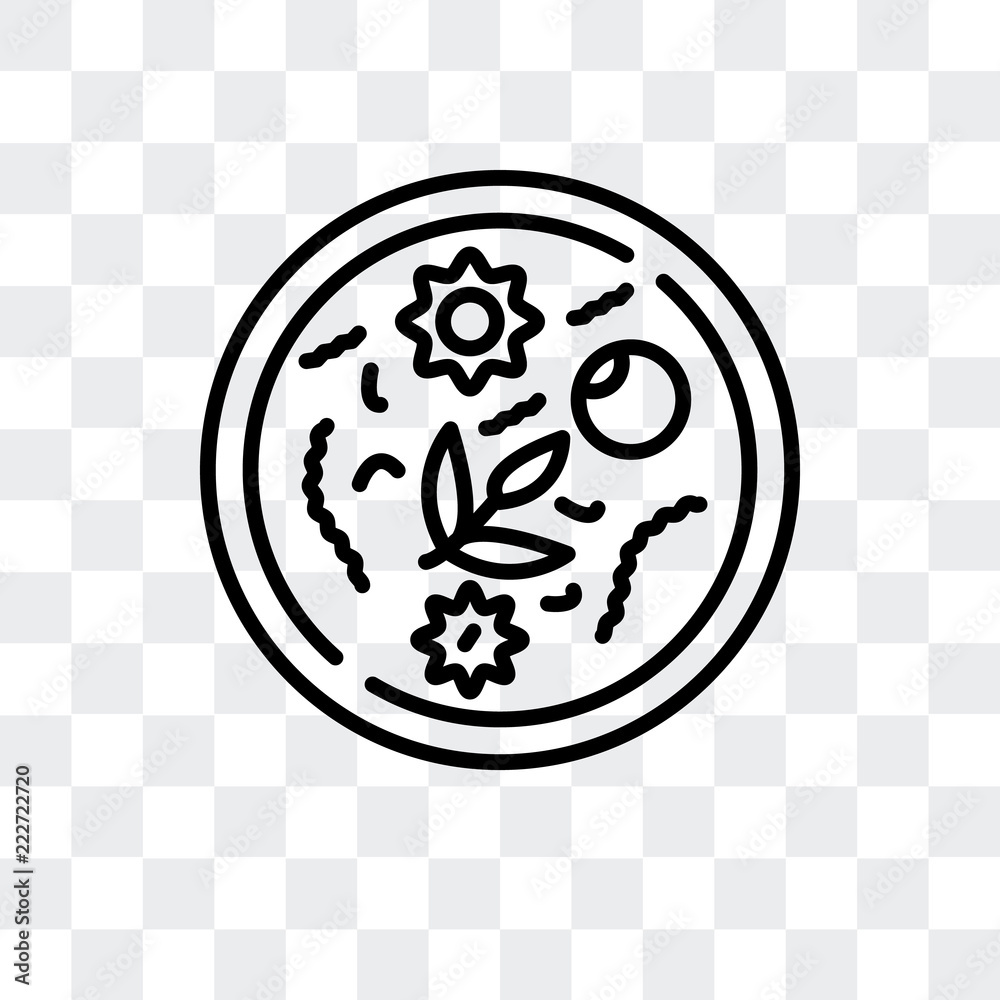 congee icon isolated on transparent background. Modern and editable ...