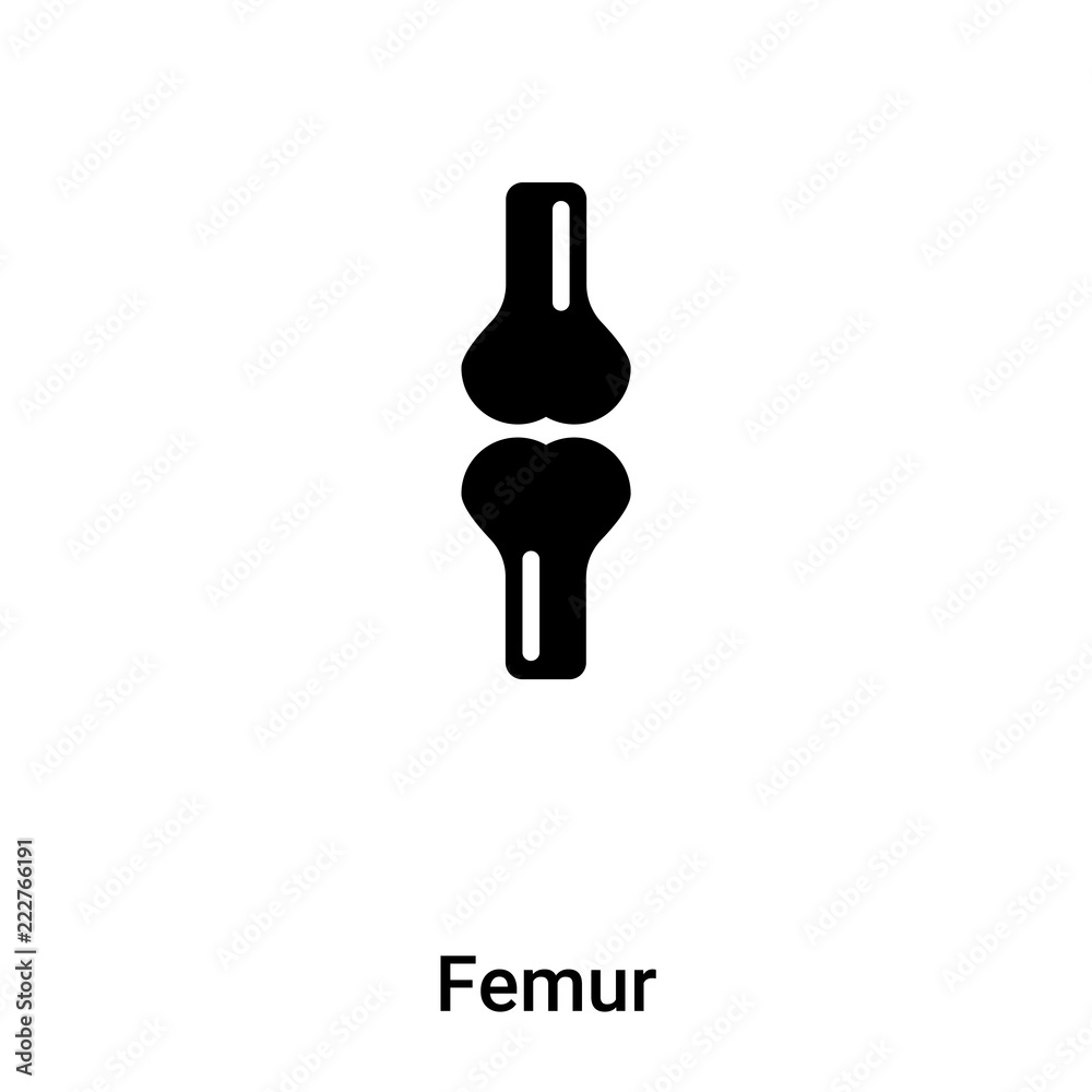 Femur icon vector isolated on white background, logo concept of Femur ...