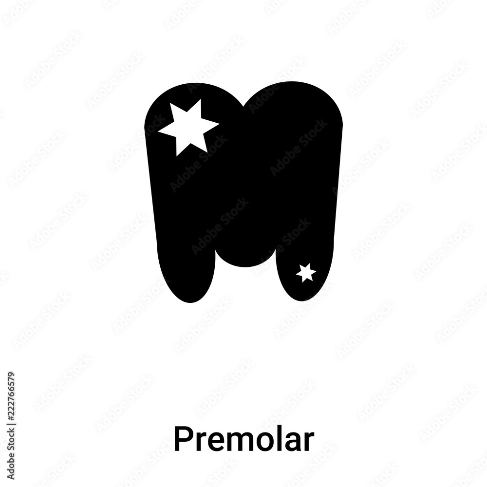 Premolar icon vector isolated on white background, logo concept of ...