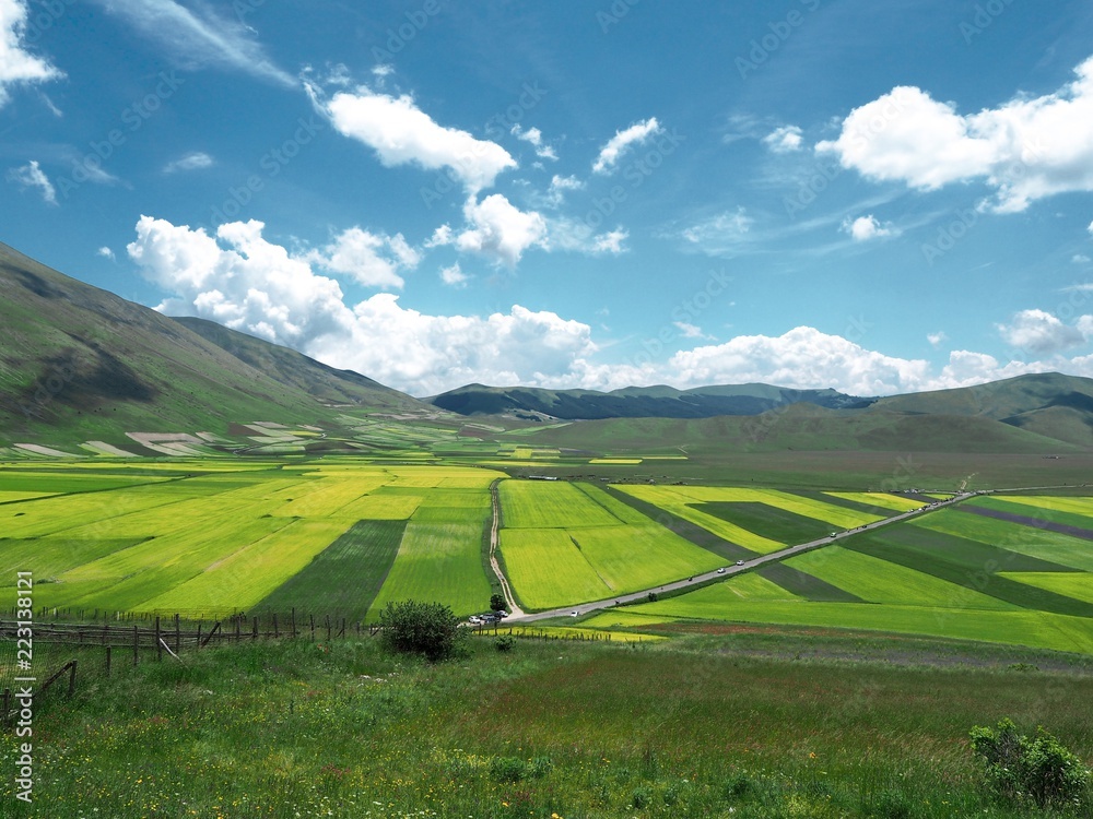 Landscape of green hills and endless fields, divided into squares in ...