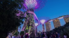 Singapore Sky Tree Night View Free Stock Photo - Public Domain Pictures