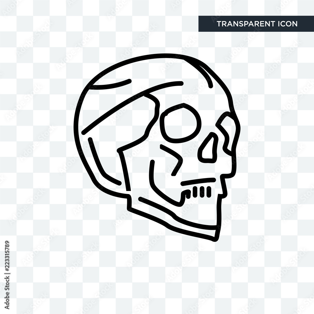 Human Skull vector icon isolated on transparent background, Human Skull ...