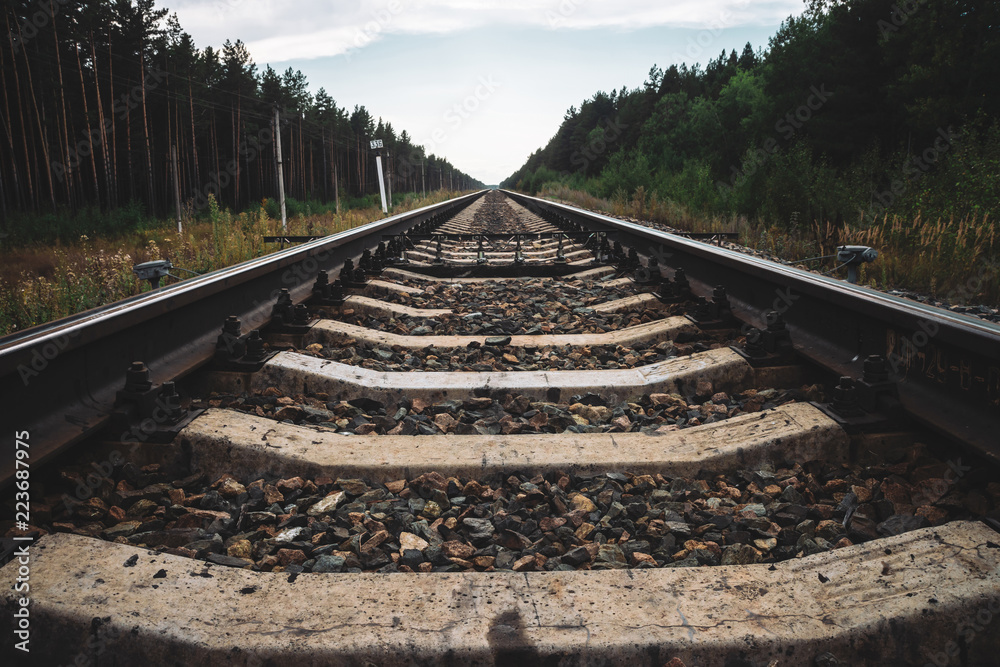 Railway traveling in perspective across forest. Journey on rail track ...