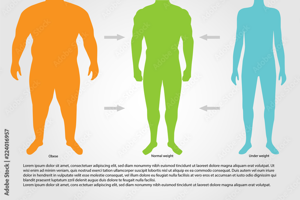 BMI or Body Mass Index Infographic Chart.Vector illustration. Stock ...
