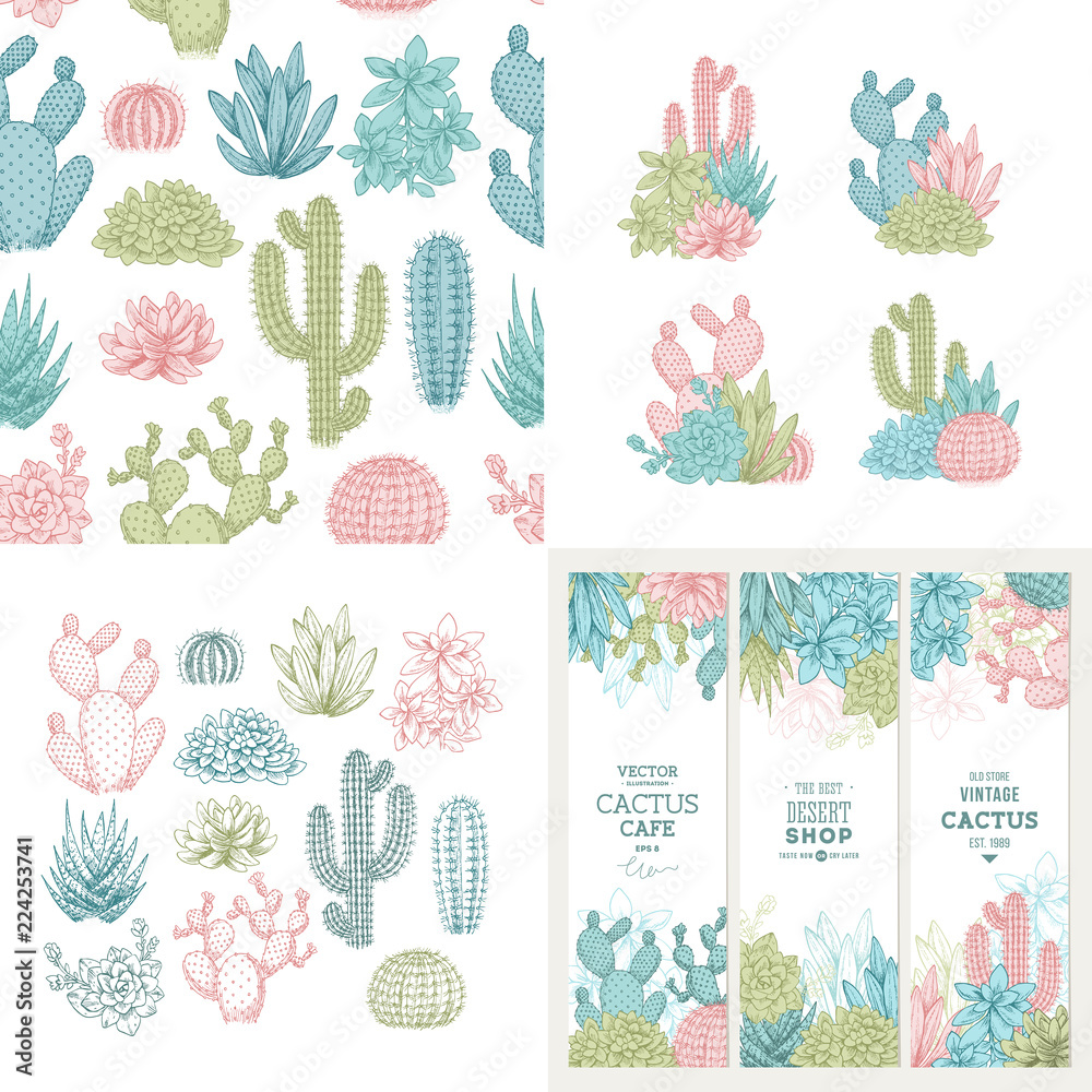 Cactus design kit. Sketchy style illustration. Banners, compositions ...