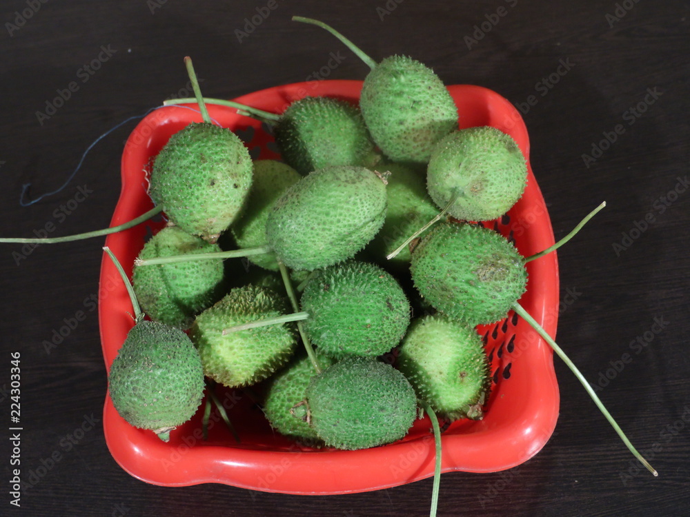 spiny gourd (Kantola),Spiny Gourd or Kantola vegetable isolated,Spiny ...