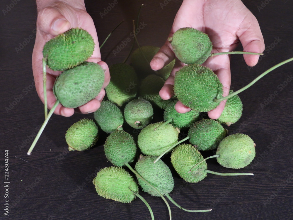 Foto de Stock spiny gourd (Kantola),Spiny Gourd or Kantola vegetable ...