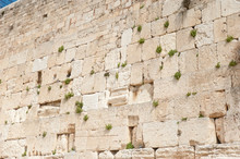 Jerusalem Stone Background Free Stock Photo - Public Domain Pictures