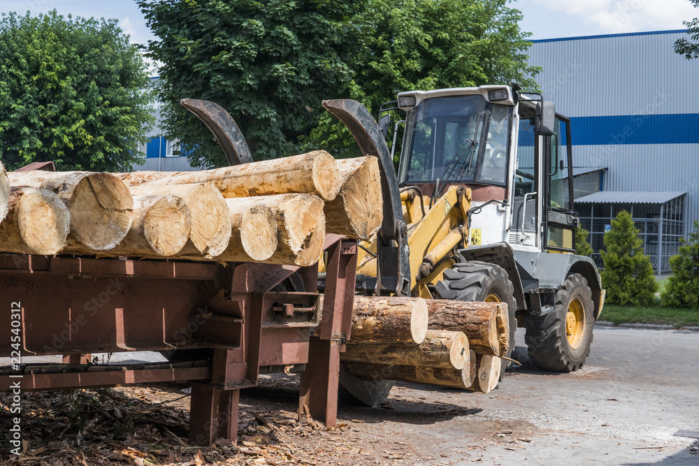 Forklift truck grabs wood in a wood processing plant. Large log loader ...