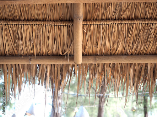 Bamboo Thatch - Asesores