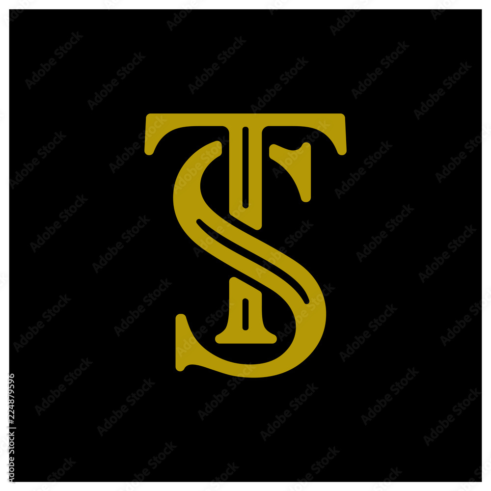 Initial ST logo design vector template Stock Vector | Adobe Stock