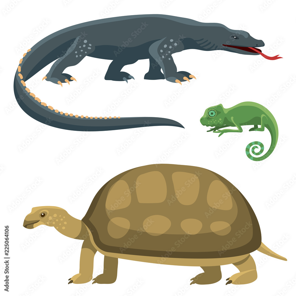 Reptile and amphibian colorful fauna vector illustration reptiloid ...