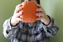 Jol Man And Pie Pumpkin Halloween Free Stock Photo - Public Domain Pictures