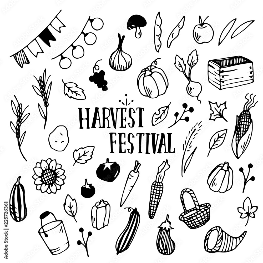 Harvest Festival Illustration Pack/autumn,fall,october,vegetable/Doodle ...