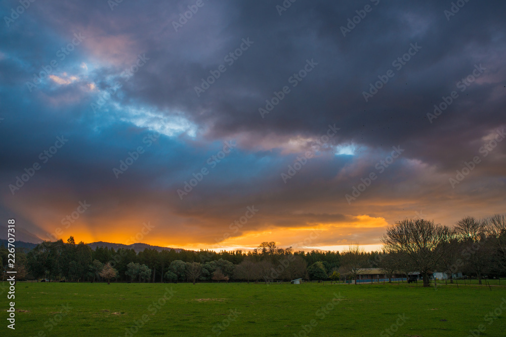 Australian countryside farming agriculture panoramic landscape with ...