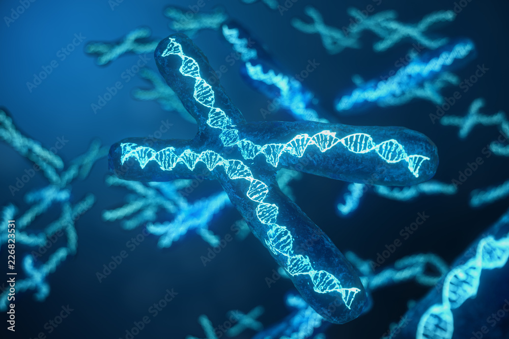 3D illustration X-Chromosomes with DNA carrying the genetic code ...