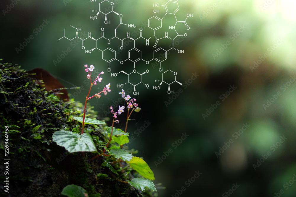 Plants background with biochemistry structure. Stock Photo | Adobe Stock