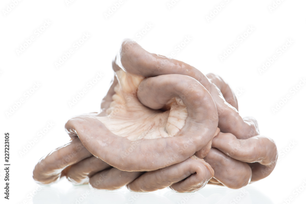 Foto Part of pork small intestine or Chitterlings internal organs of ...