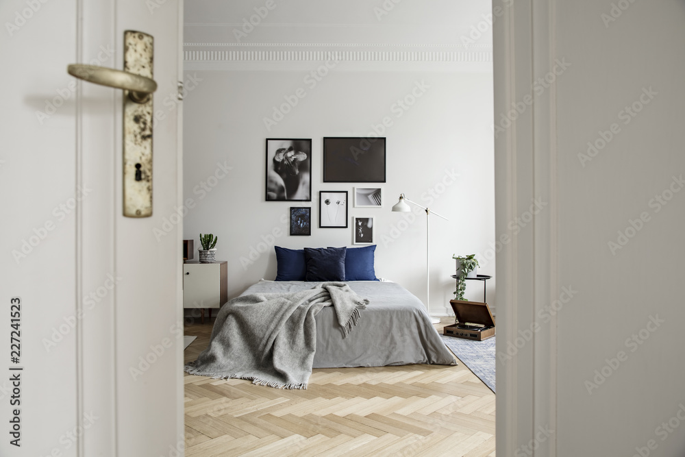 View through open door into a spacious and natural bedroom interior ...