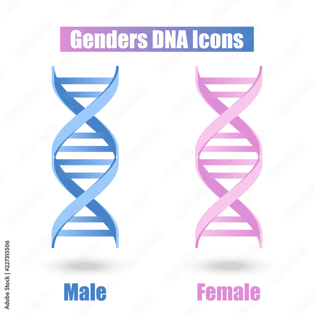 Gender Male and Female DNA Icon Structure Molecular Science and Biology ...