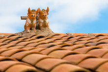 Cow On Roof Free Stock Photo - Public Domain Pictures