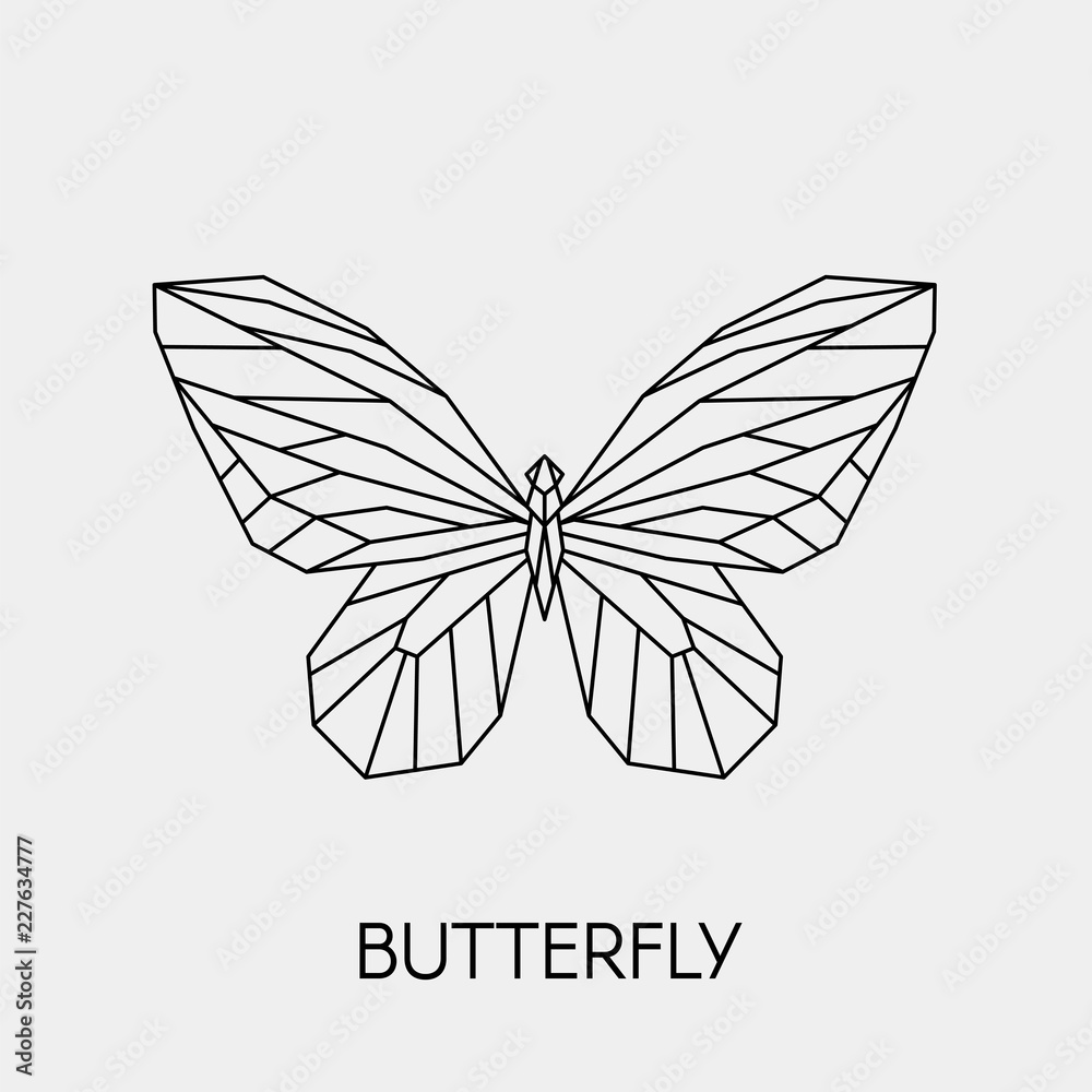 Geometric butterfly. Polygonal linear abstract animal. Vector ...