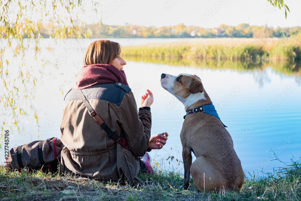 Human communicating with dog. Young dog sits and listens to her female owner in beautiful nature ...