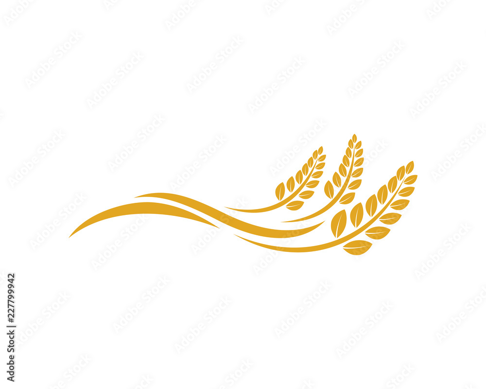 Vector Growing Plant Agriculture wheat Grain Sign Symbol Icon Logo ...
