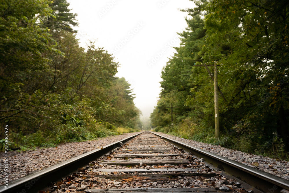 View Looking down Train Tracks through Forest in Autumn with a Shallow ...