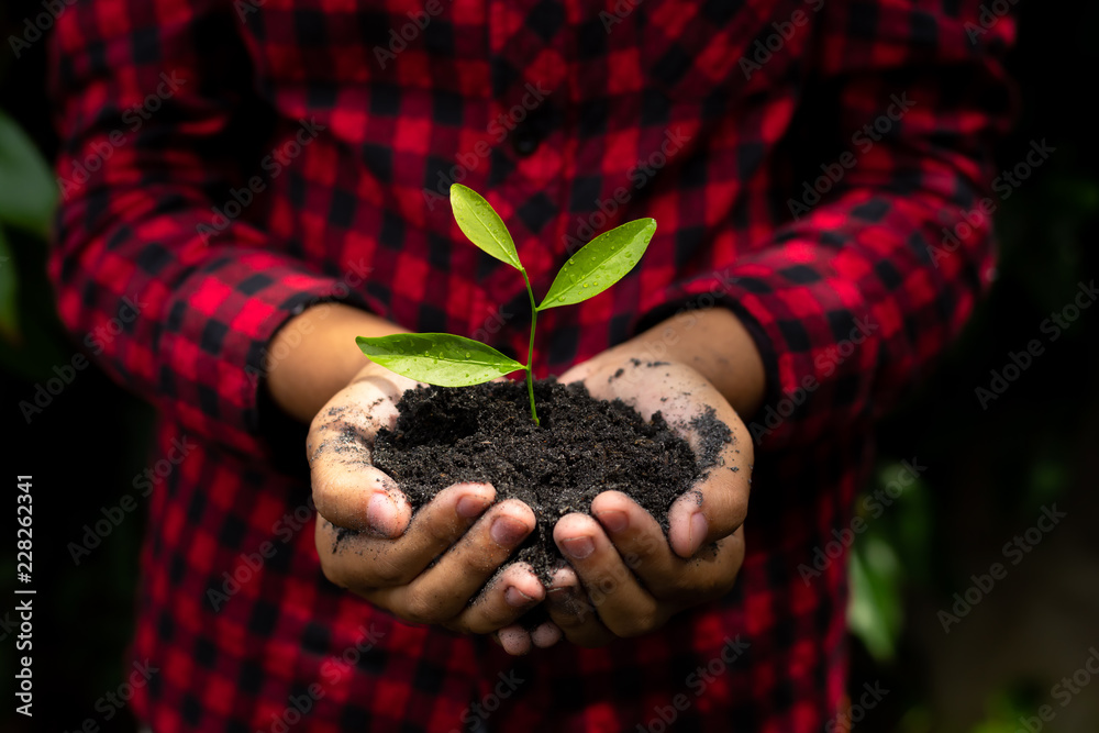 Hand holding plant with bokeh and nature background, save the world and ...