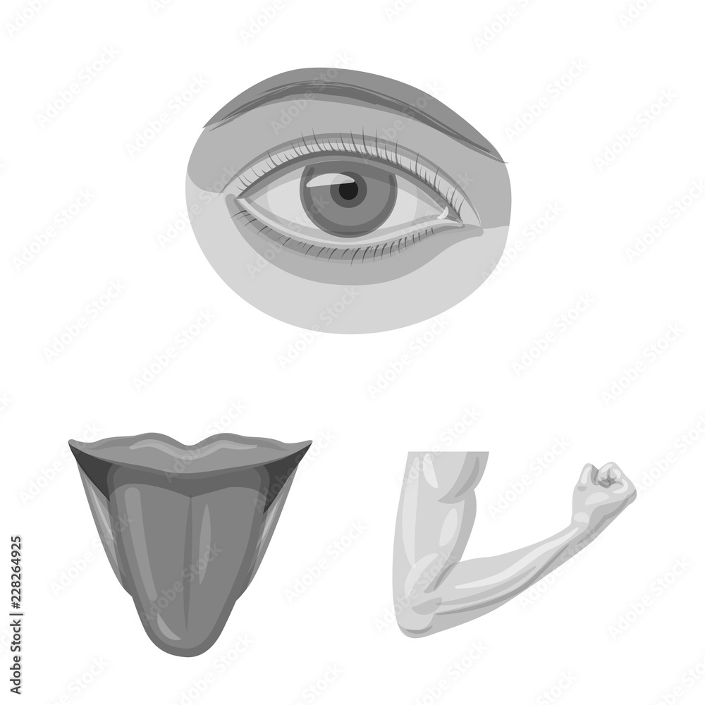 Vector illustration of human and part symbol. Collection of human and ...