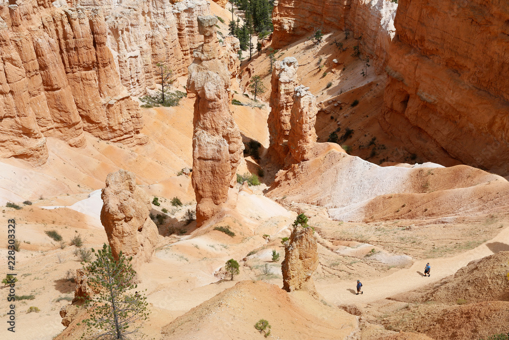 USA. Utah. Bryce Canyon. Sunset Point. Hiking Navajo Loop Trail. The ...